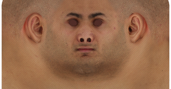 Male head texture map 12